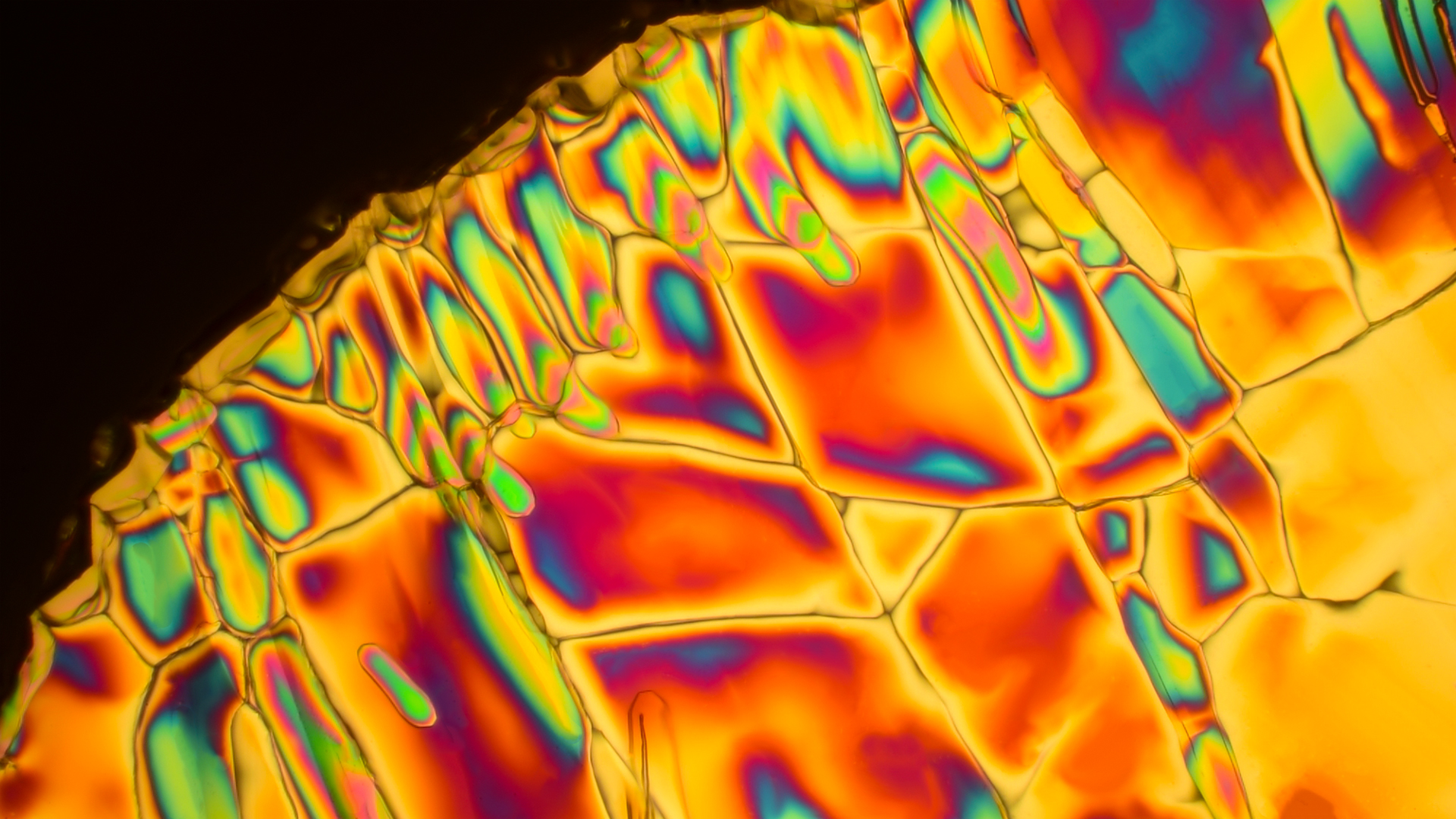 The Beautiful World of Microscopic Crystals - Thai Microcosmos